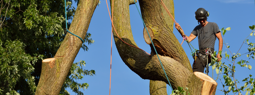 Rigging Hooks: A Guide to Types and Applications – Hercules Lifting