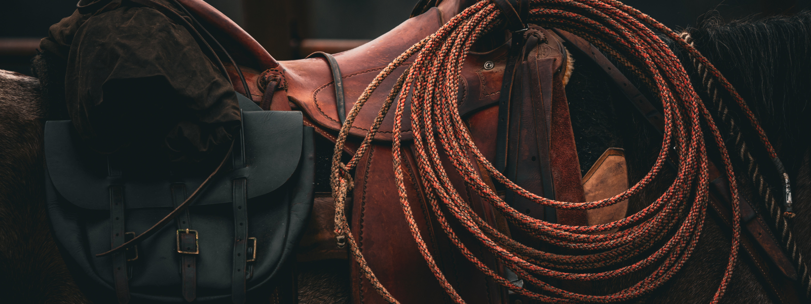 Understanding Wire Rope Clips & “Never Saddle a Dead Horse" – Hercules ...
